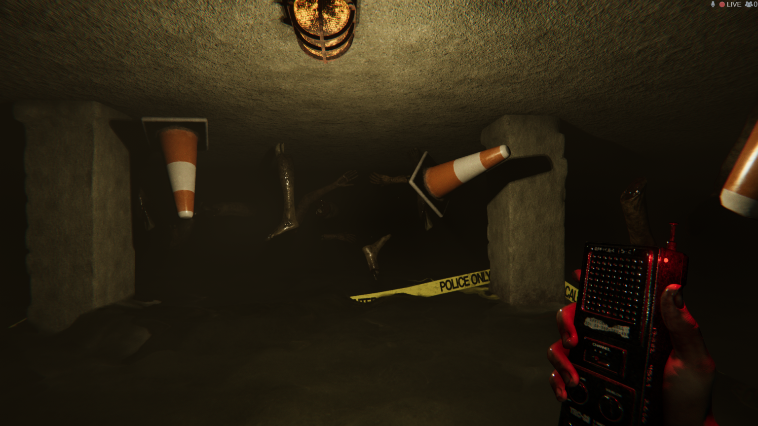 Madison Review (A Survival-Horror Masterpiece) - Corrosion Hour