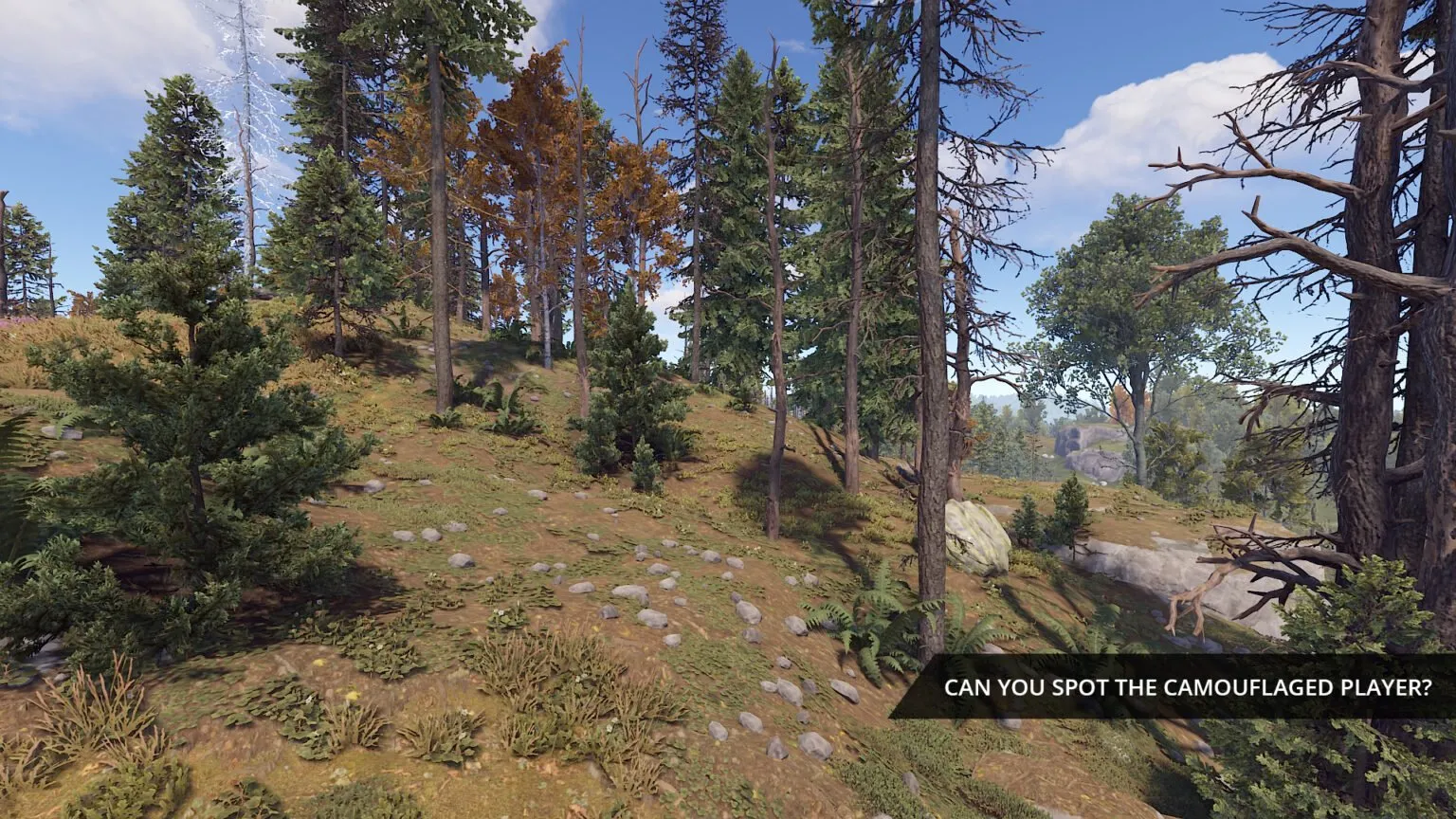 The Best RUST Skin Sets for the Forest Biome - Corrosion Hour