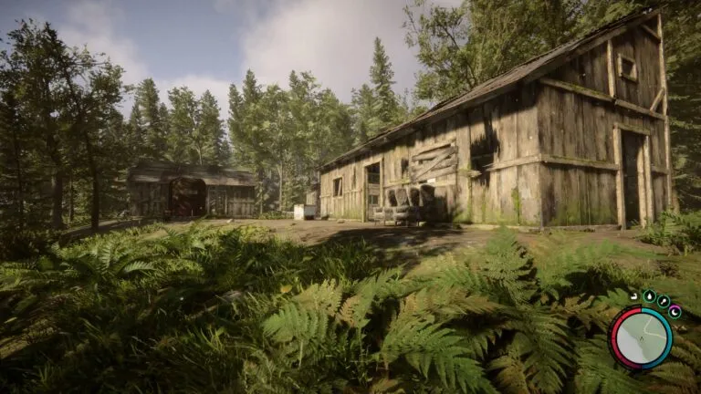 Sons of the Forest: 7 Best Base Locations - Corrosion Hour