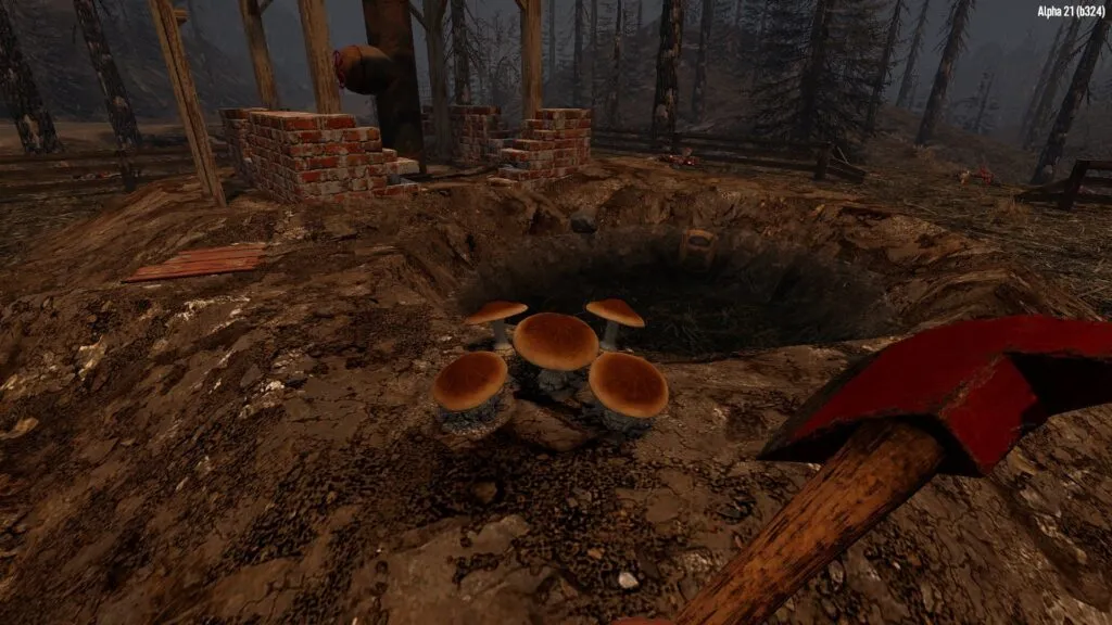 7 Days to Die: How to Survive the Burnt Forest Biome