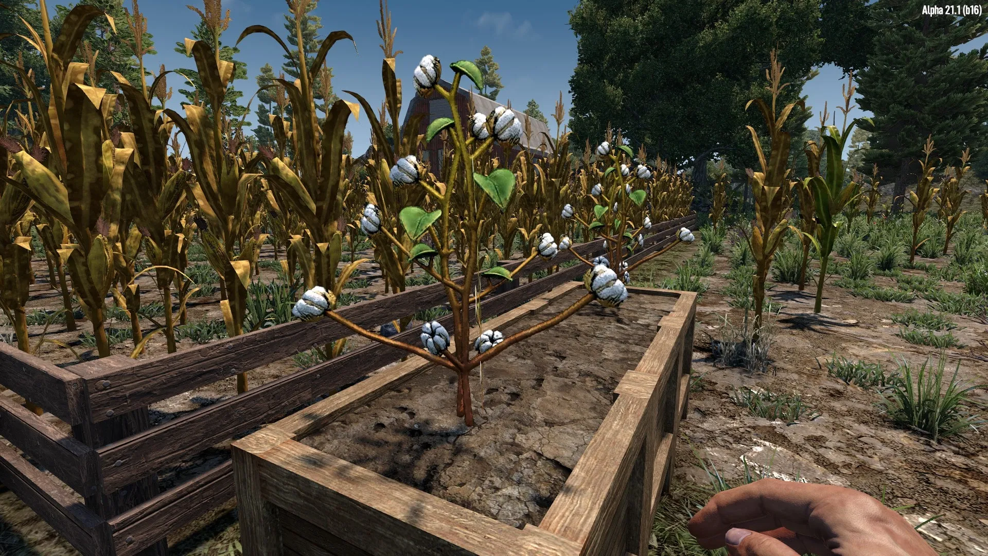 7 Days to Die: How to Get and Use Cloth Fragments