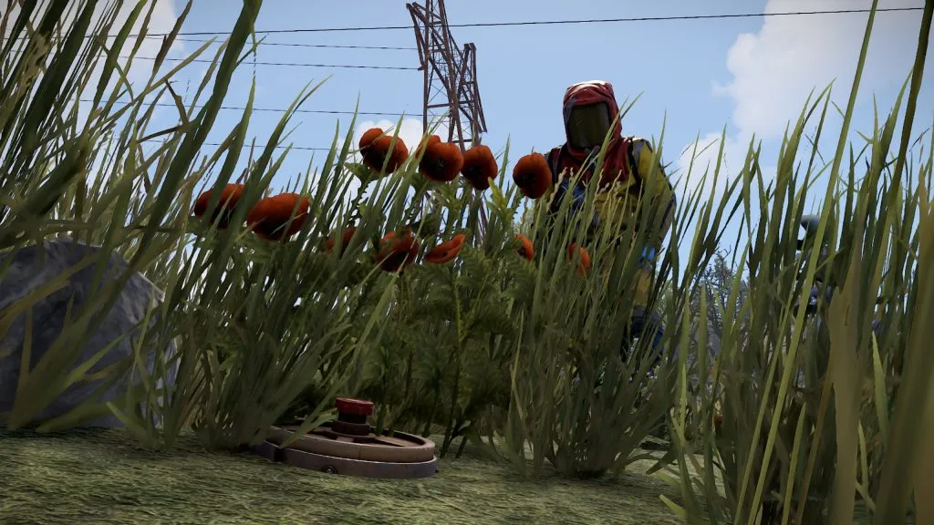 RUST Polish and Progress Update