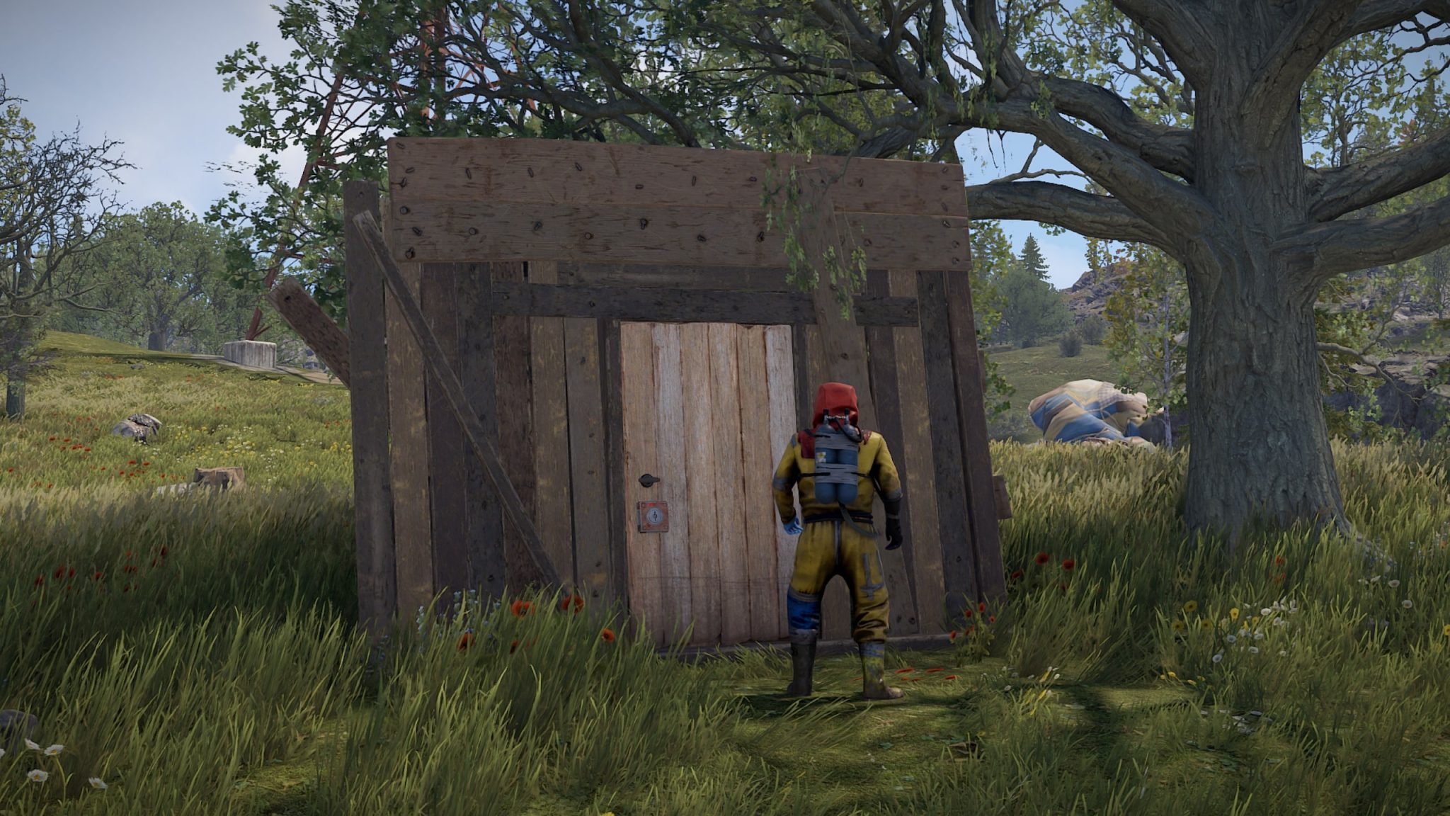 RUST Polish and Progress Update