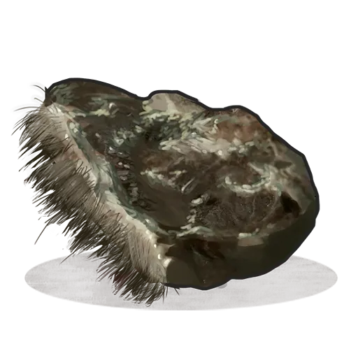 Spoiled Bear Meat - Rust - Corrosion Hour