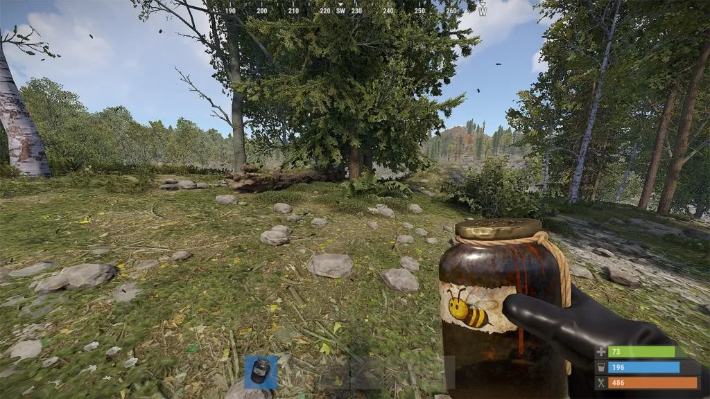 The RUST Beekeeping System: Everything You Need to Know