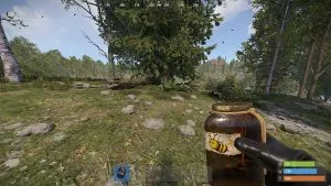 The RUST Beekeeping System: Everything You Need to Know