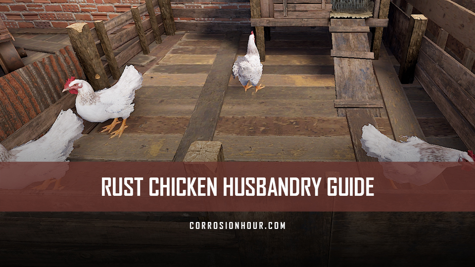 RUST Chicken Husbandry: How to Raise & Farm Chickens - Corrosion Hour