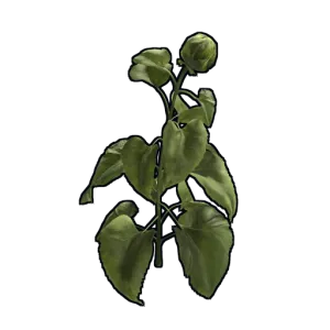 Sunflower Clone - Rust - Corrosion Hour