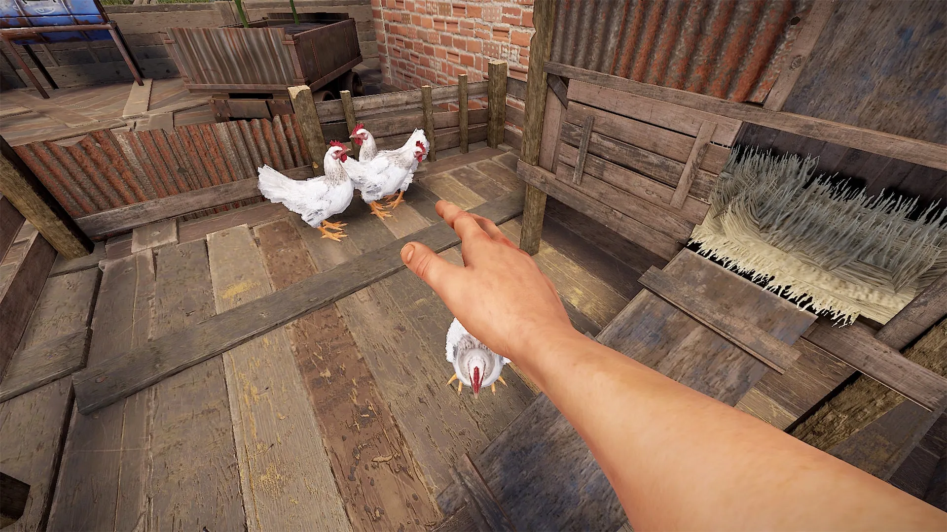 RUST Chicken Husbandry: How to Raise & Farm Chickens - Corrosion Hour