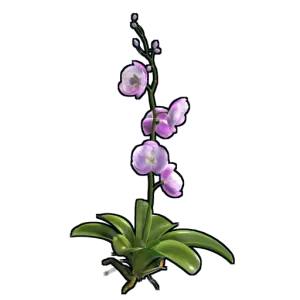 Orchid - Rust - Corrosion Hour