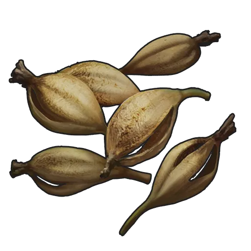 RUST Orchid Seed - Corrosion Hour