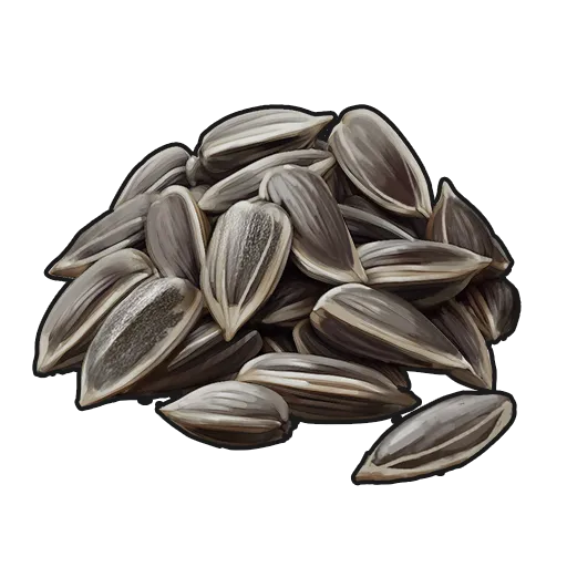 Sunflower Seed - Rust - Corrosion Hour