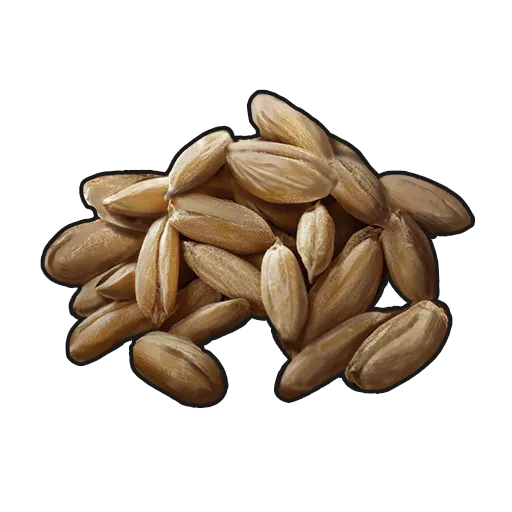 Wheat Seed - Rust - Corrosion Hour