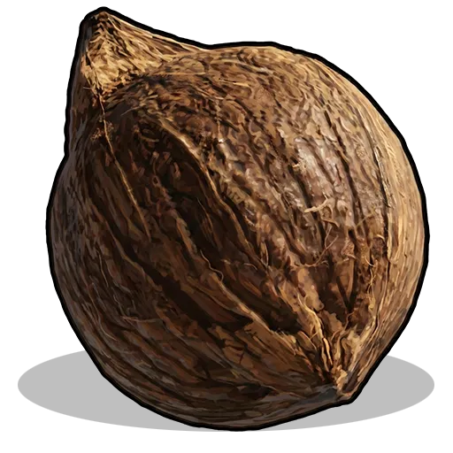 Coconut - Rust - Corrosion Hour